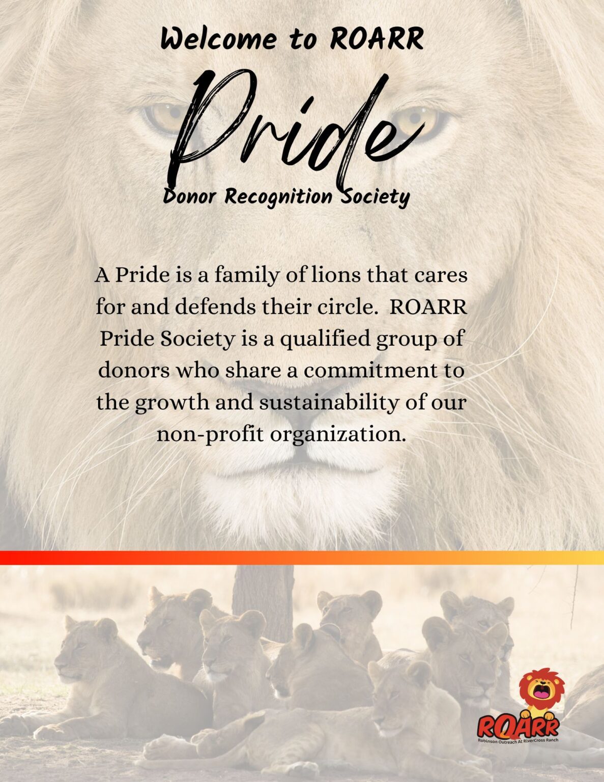 Donor Program - ROARR Pride - ROARR Organization