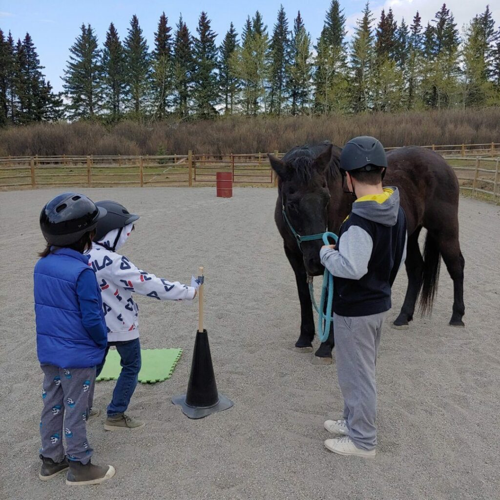 What We Do - Summer Horse Riding Programs for Youth